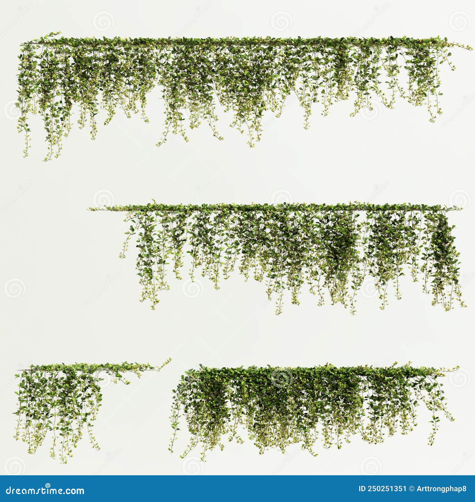 Tree With Drooping Ferns And Mosses, Surrounded By Exotic Foggy Forest ...