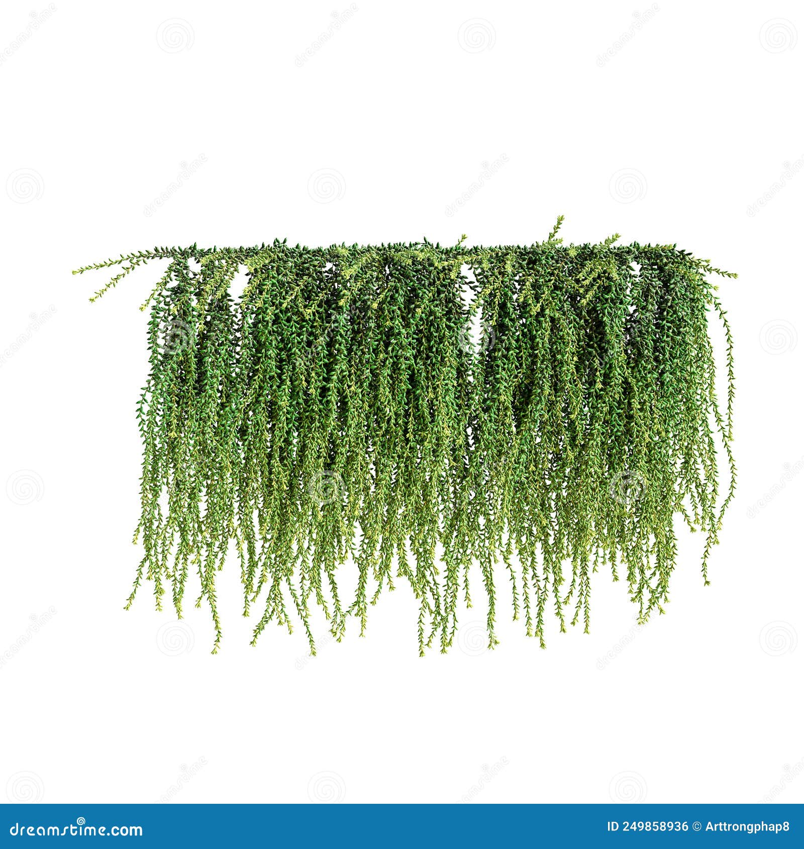 Tree With Drooping Ferns And Mosses, Surrounded By Exotic Foggy Forest ...