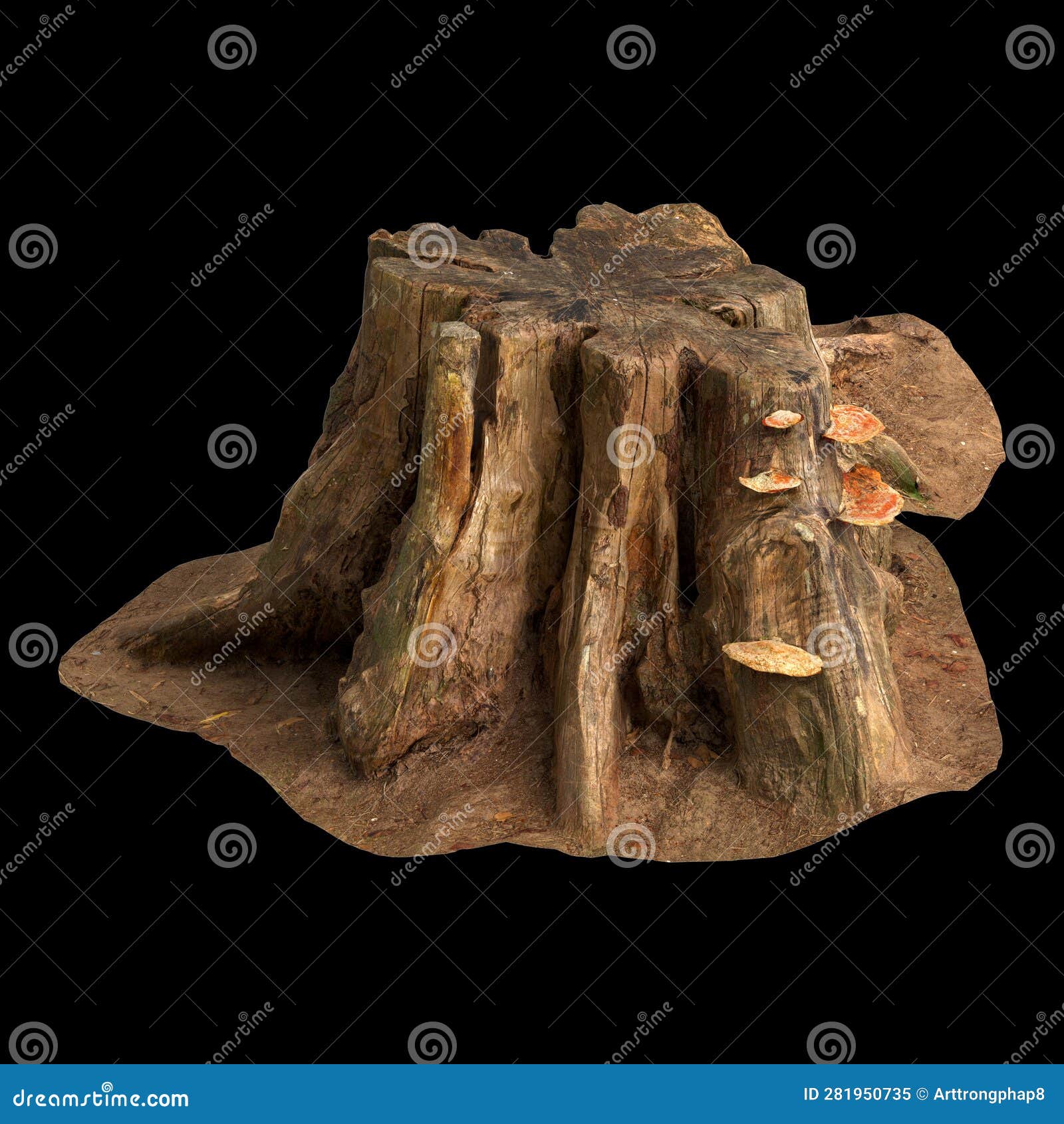 3d Illustration of Dry Tree Stump Isolated on Black Background Stock ...