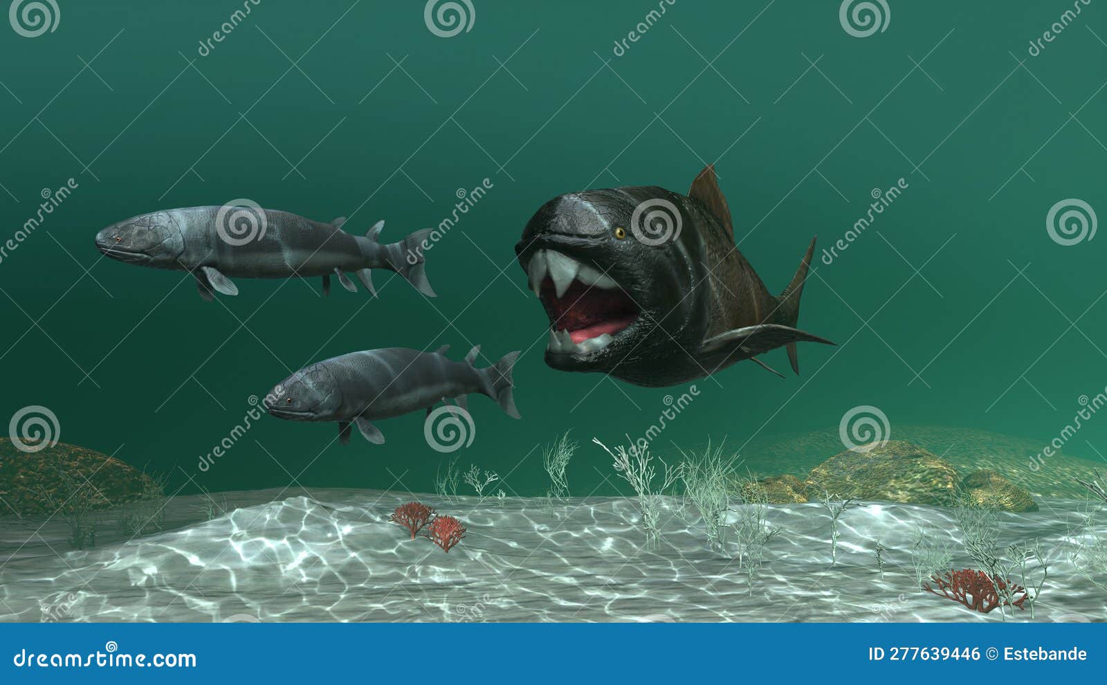 3d Illustration of a Dunklosteus Chasing Two Eusthenopteron Stock ...