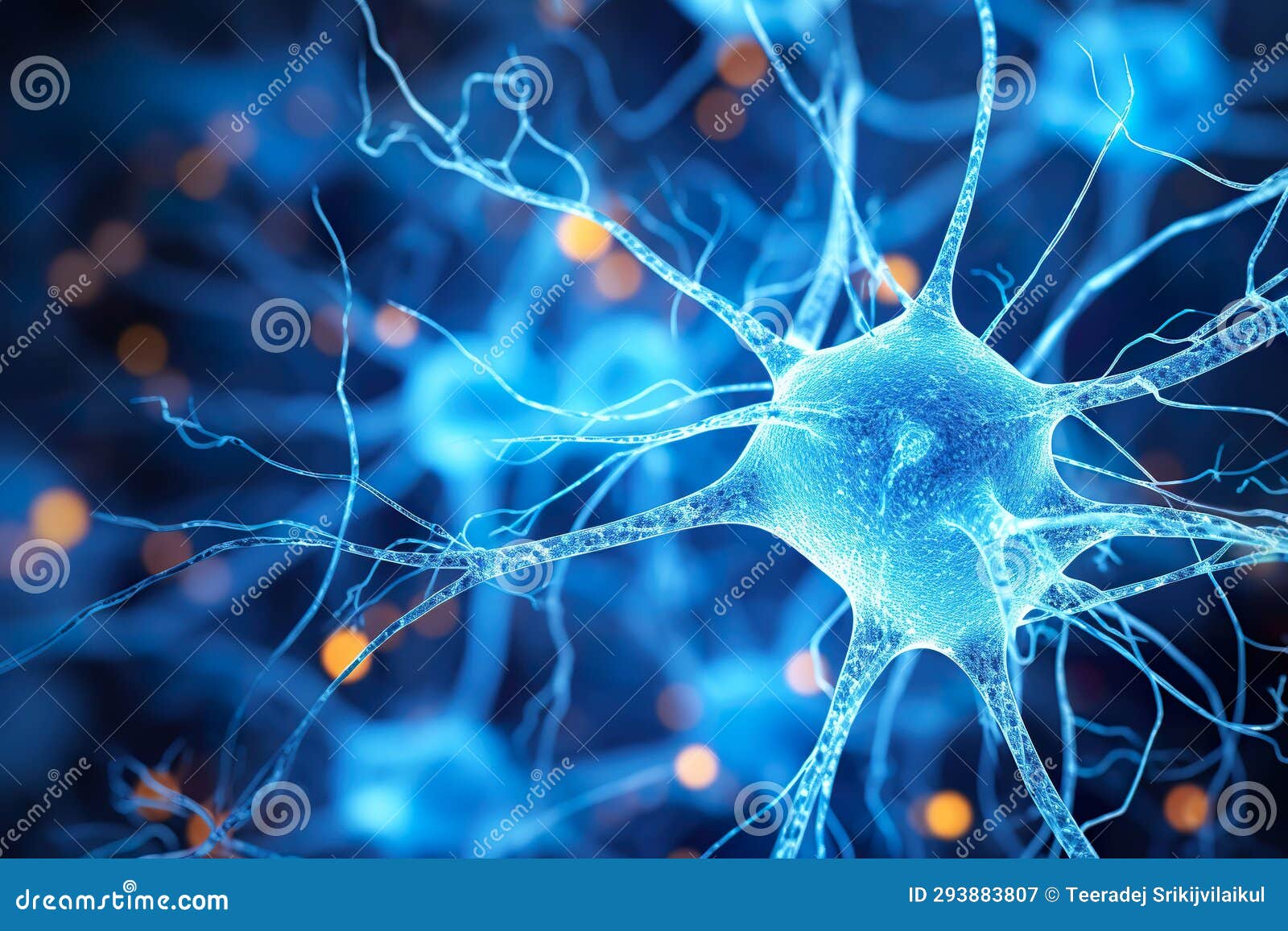 Microscopy Network Of Fibrins And Platelet In Blood Clot Process ...