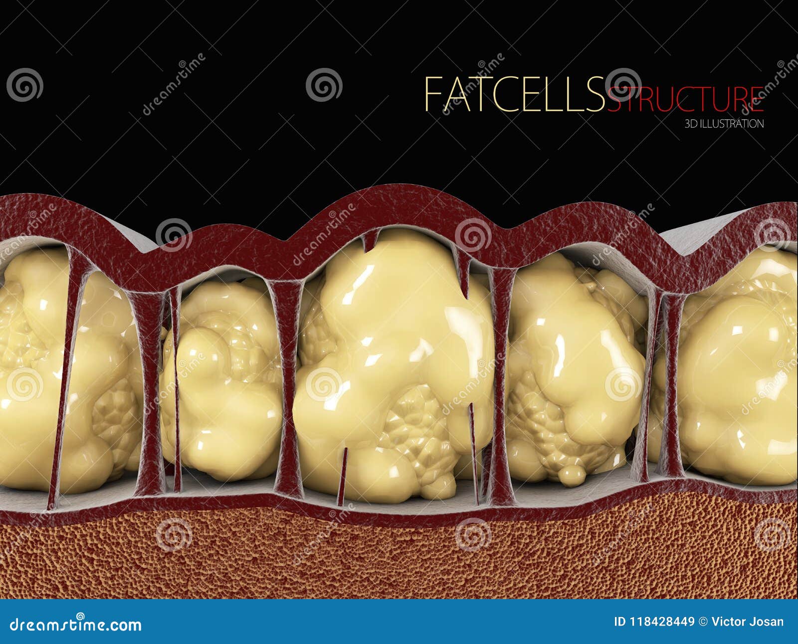 3d Illustration of Fat Cells on Black Background Stock Illustration ...