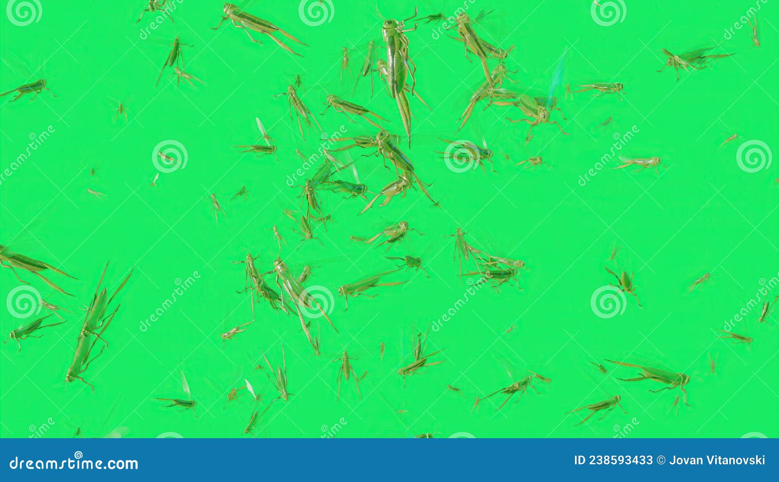 Swarm Of Locusts In Science Fiction Royalty-Free Cartoon ...