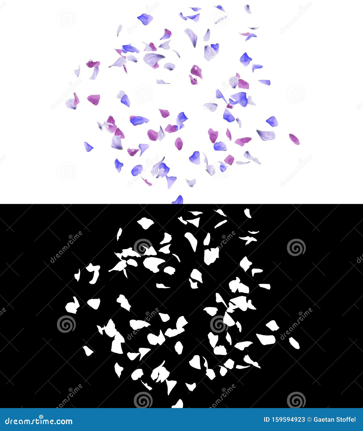 3D Illustration of a Flower Petals Flow with Alpha Layer Stock ...