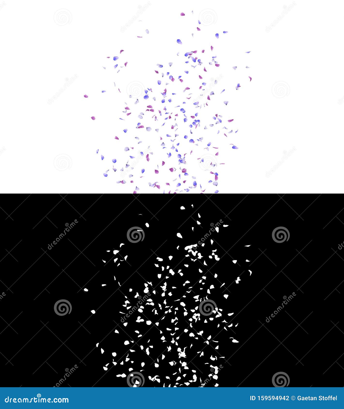 3D Illustration of a Flower Petals Flow with Alpha Layer Stock ...