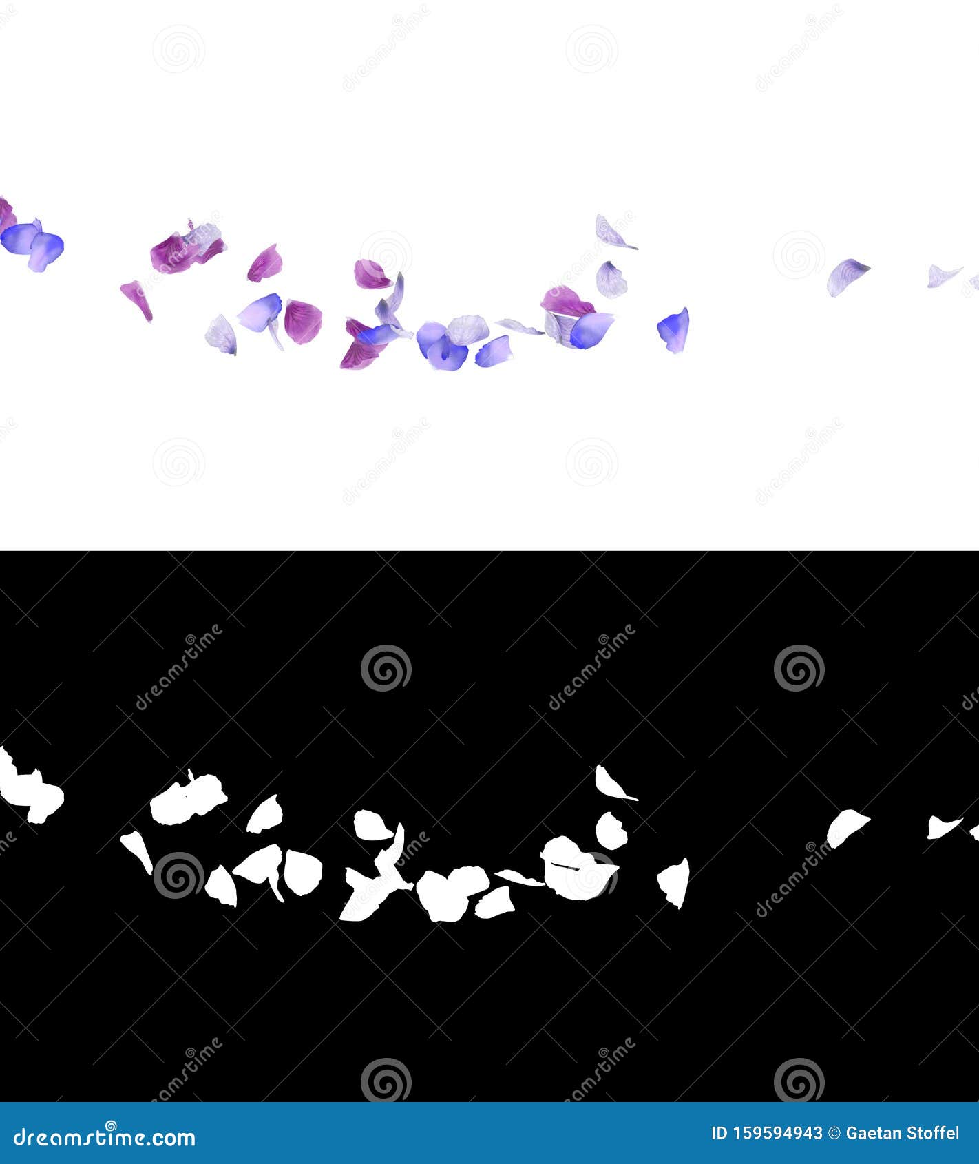 3D Illustration of a Flower Petals Flow with Alpha Layer Stock ...
