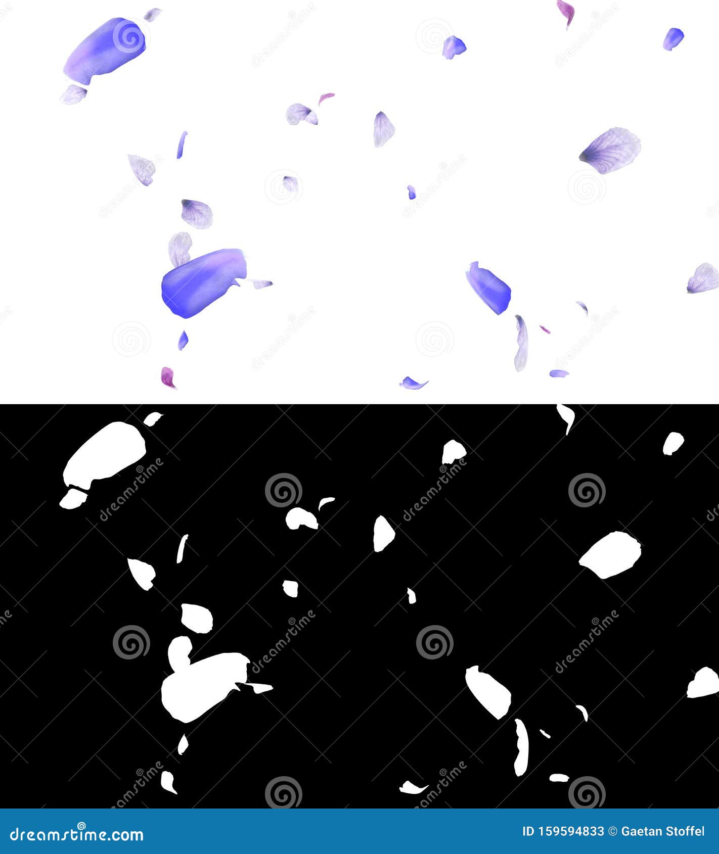 3D Illustration of a Flower Petals Flow with Alpha Layer Stock ...