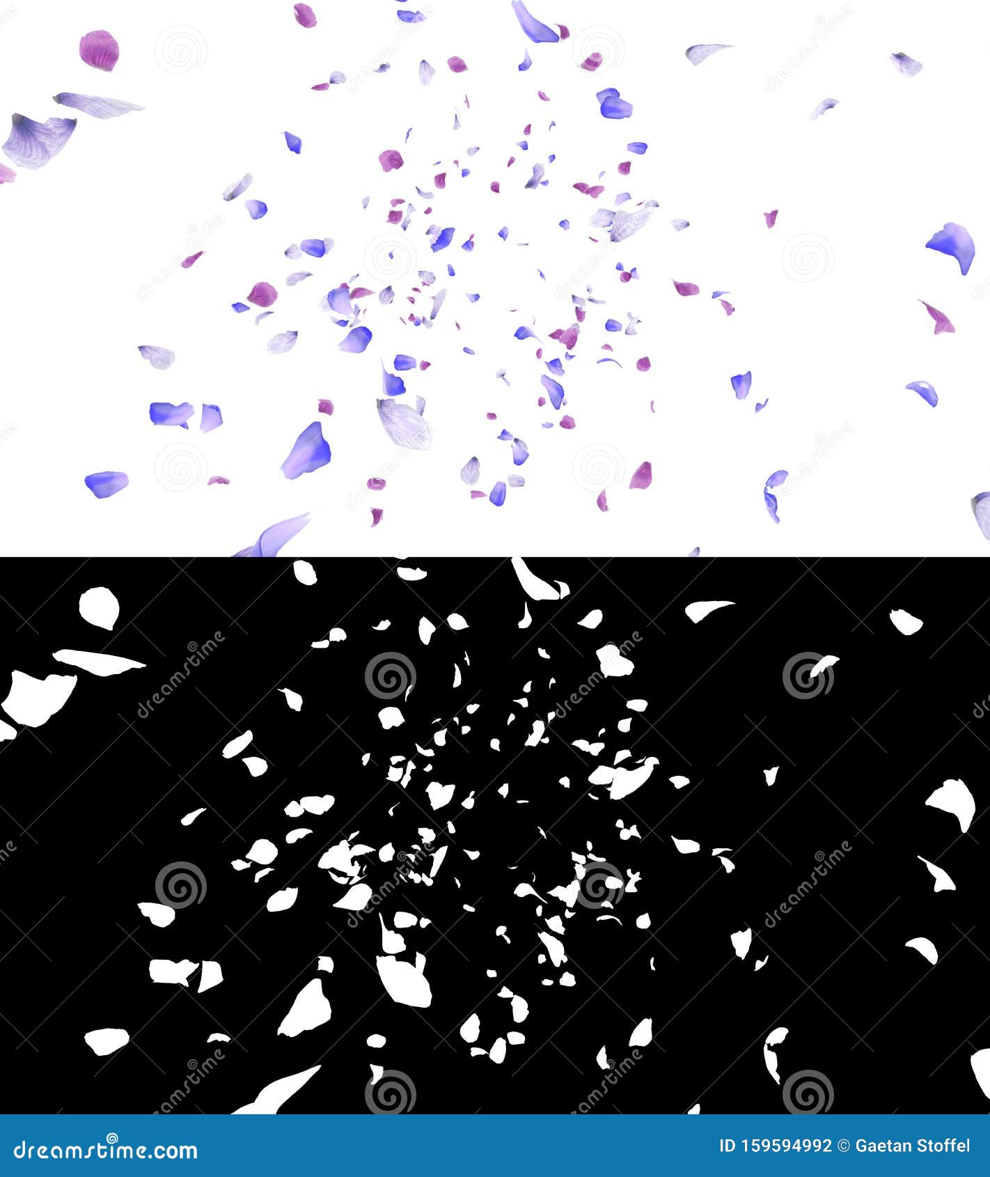 3D Illustration of a Flower Petals Flow with Alpha Layer Stock ...