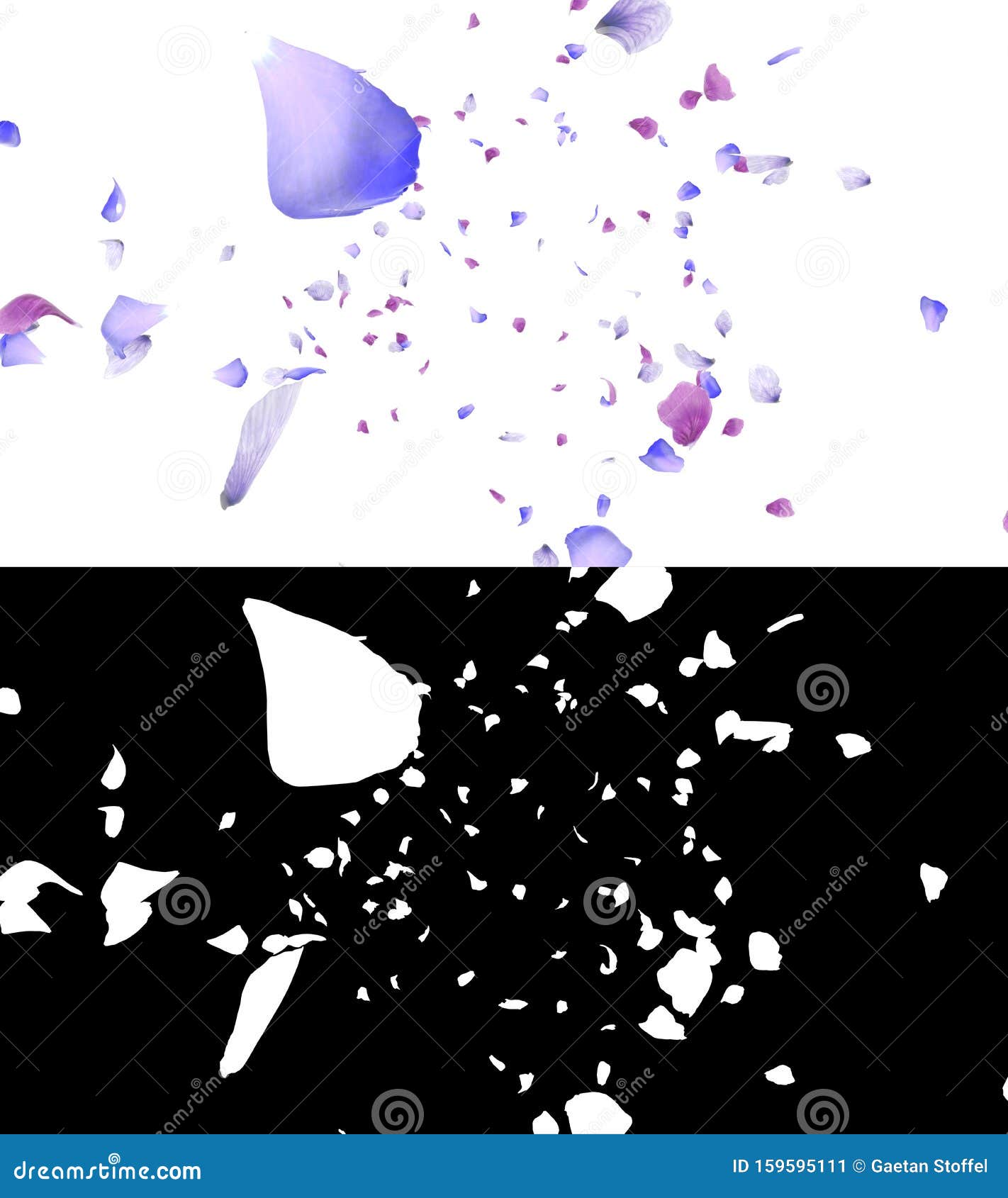 3D Illustration of a Flower Petals Flow with Alpha Layer Stock ...
