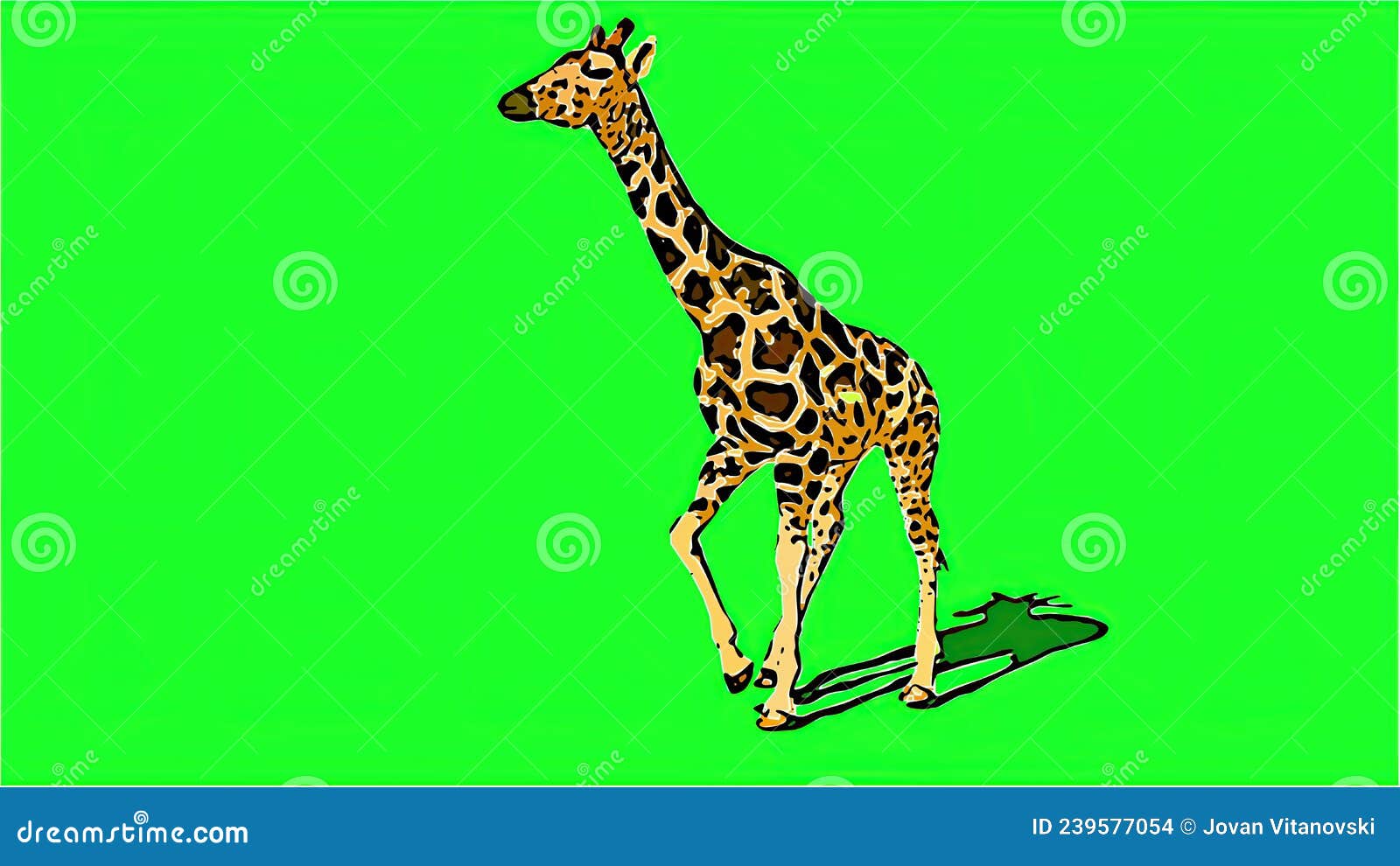 Giraffe Walking on Green Screen Stock Illustration - Illustration of ...