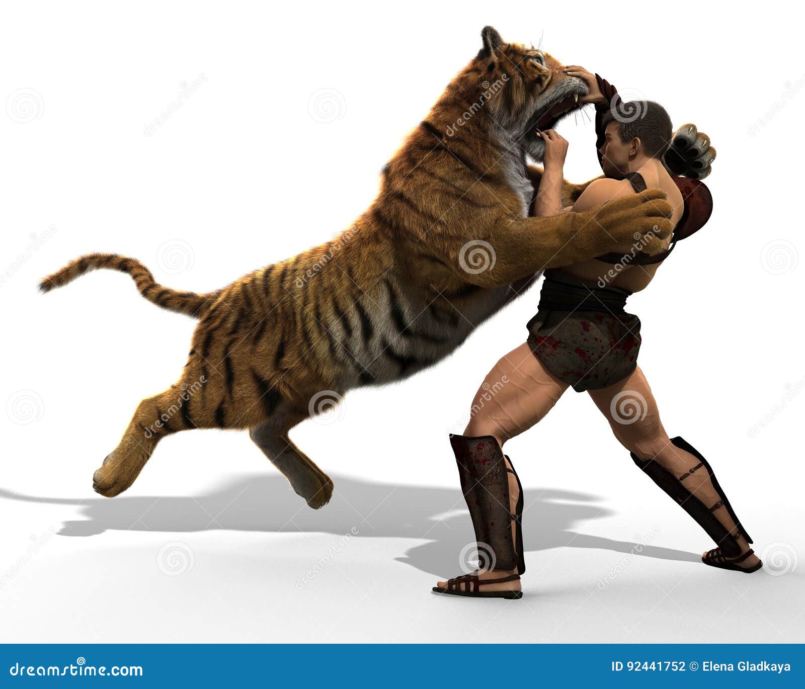 Gladiator Fighting With A Tiger Stock Photography | CartoonDealer.com ...