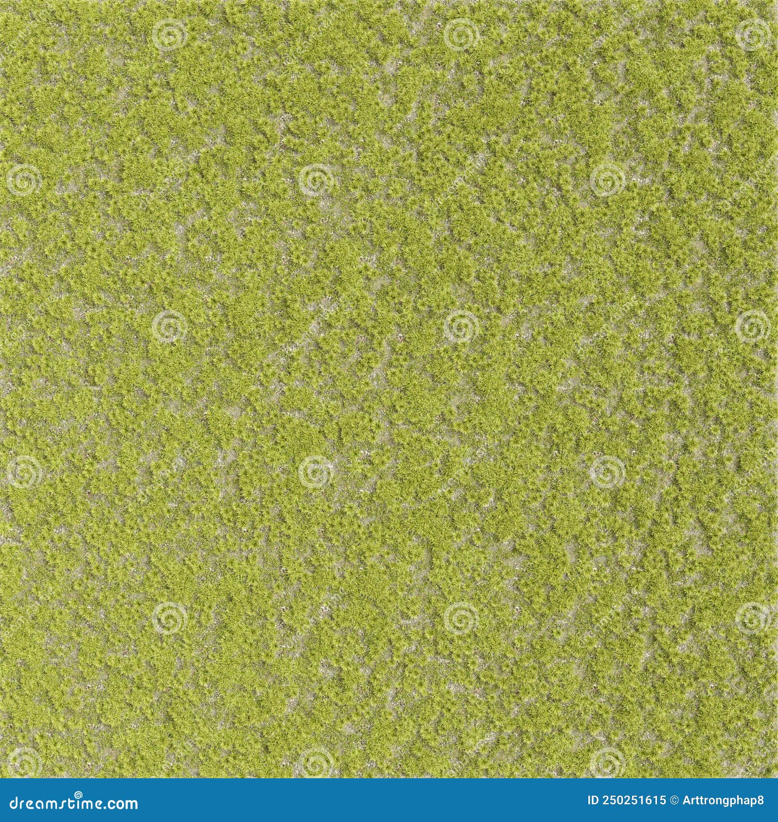 3d Illustration of Grass Background, Texture Nature Top View Stock ...