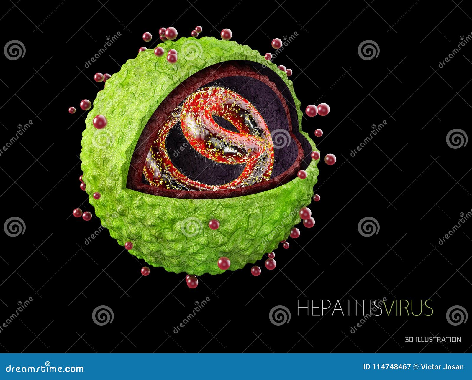 3d Illustration of Hepatitis Virus. Structure of the Hepatitis Virus ...