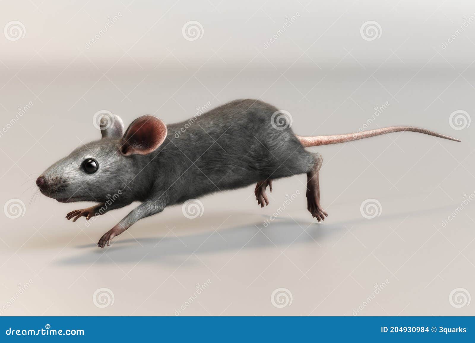 3D Illustration of a House Mouse Mus Musculus Stock Illustration ...