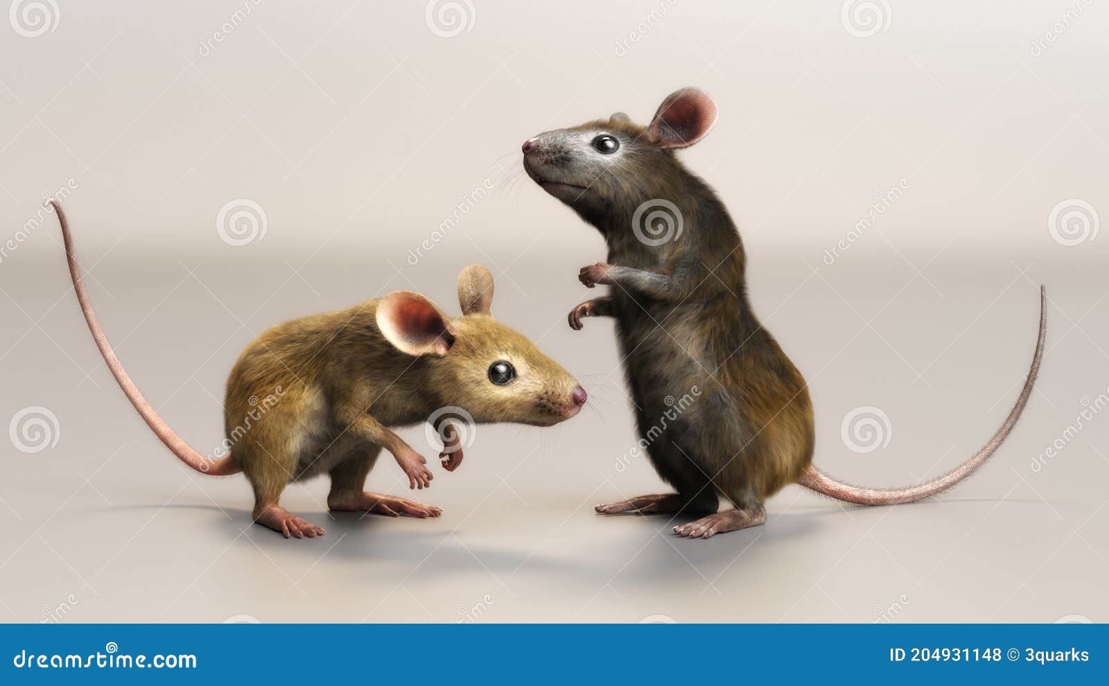 3D Illustration of a House Mouse Mus Musculus Stock Illustration ...