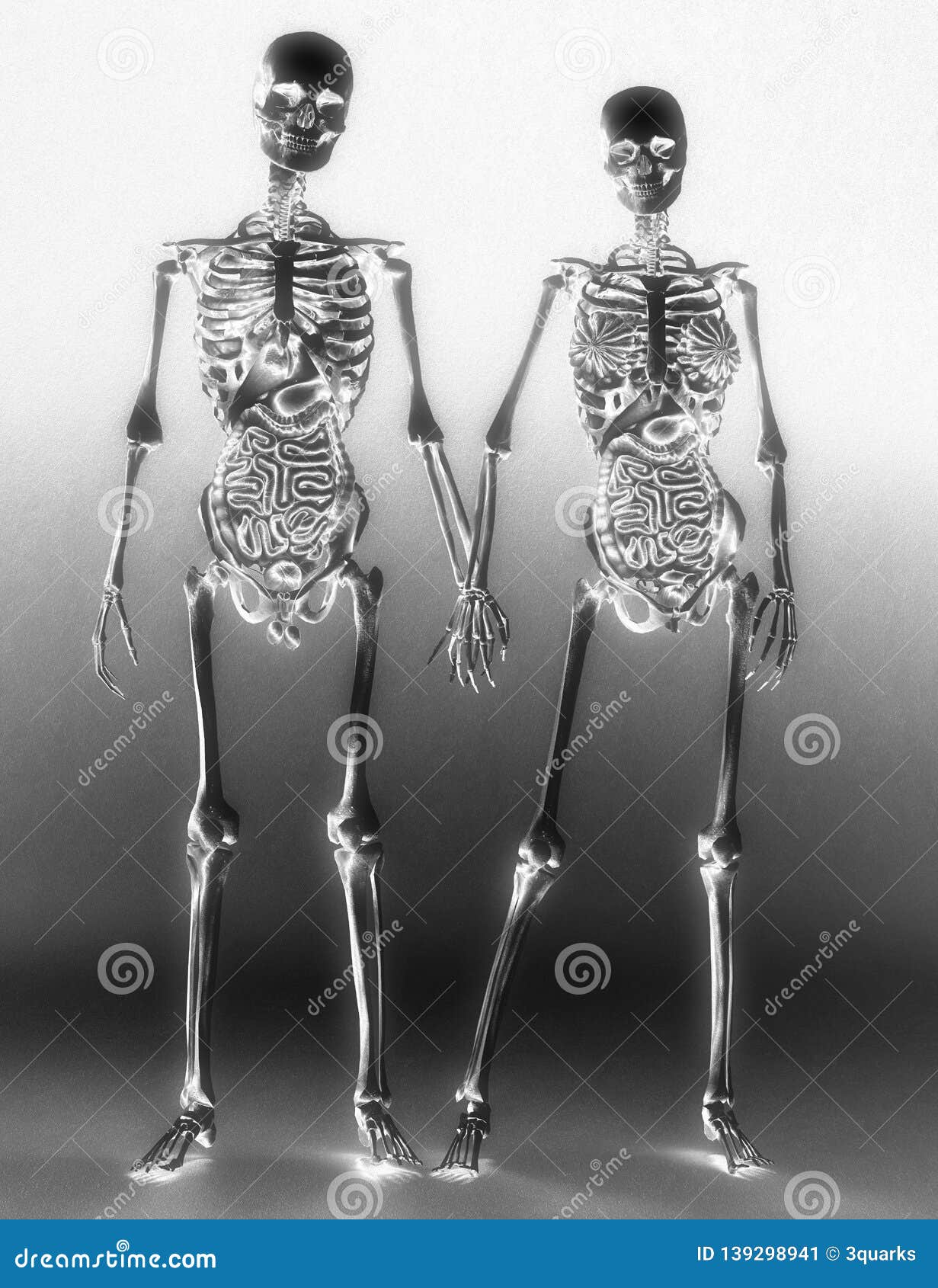 3D Illustration of the Human Anatomy Stock Illustration - Illustration ...