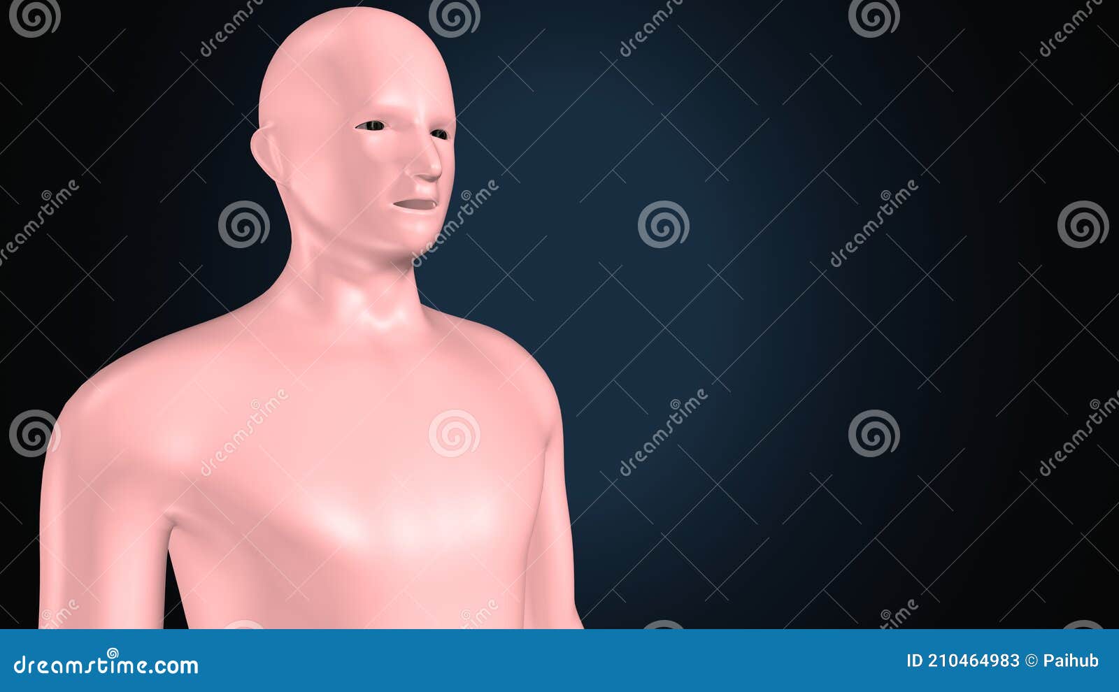 3d Illustration of a Human Body Shape Anatomy. Stock Illustration ...