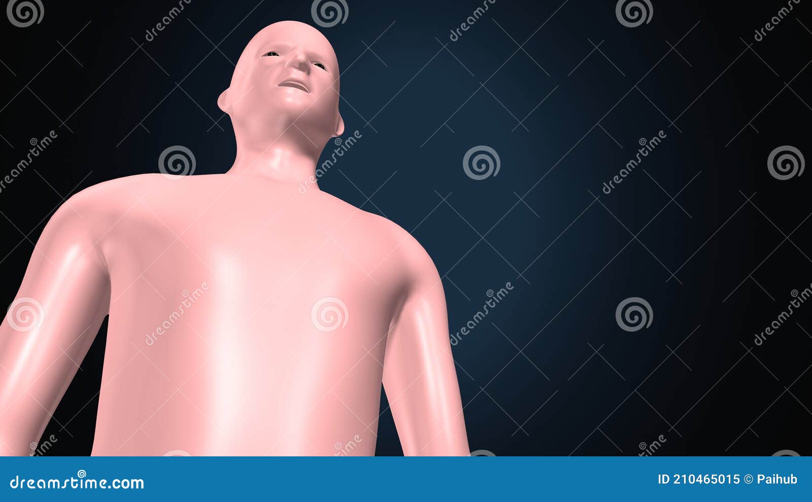 3d Illustration of a Human Body Shape Anatomy. Stock Illustration ...