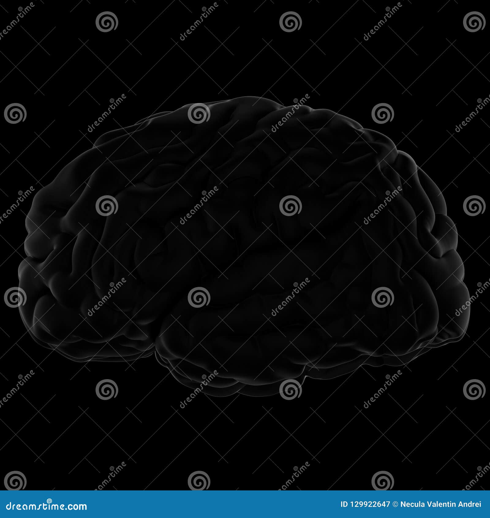 3D Illustration of Human Brain. Black Background Stock Illustration ...