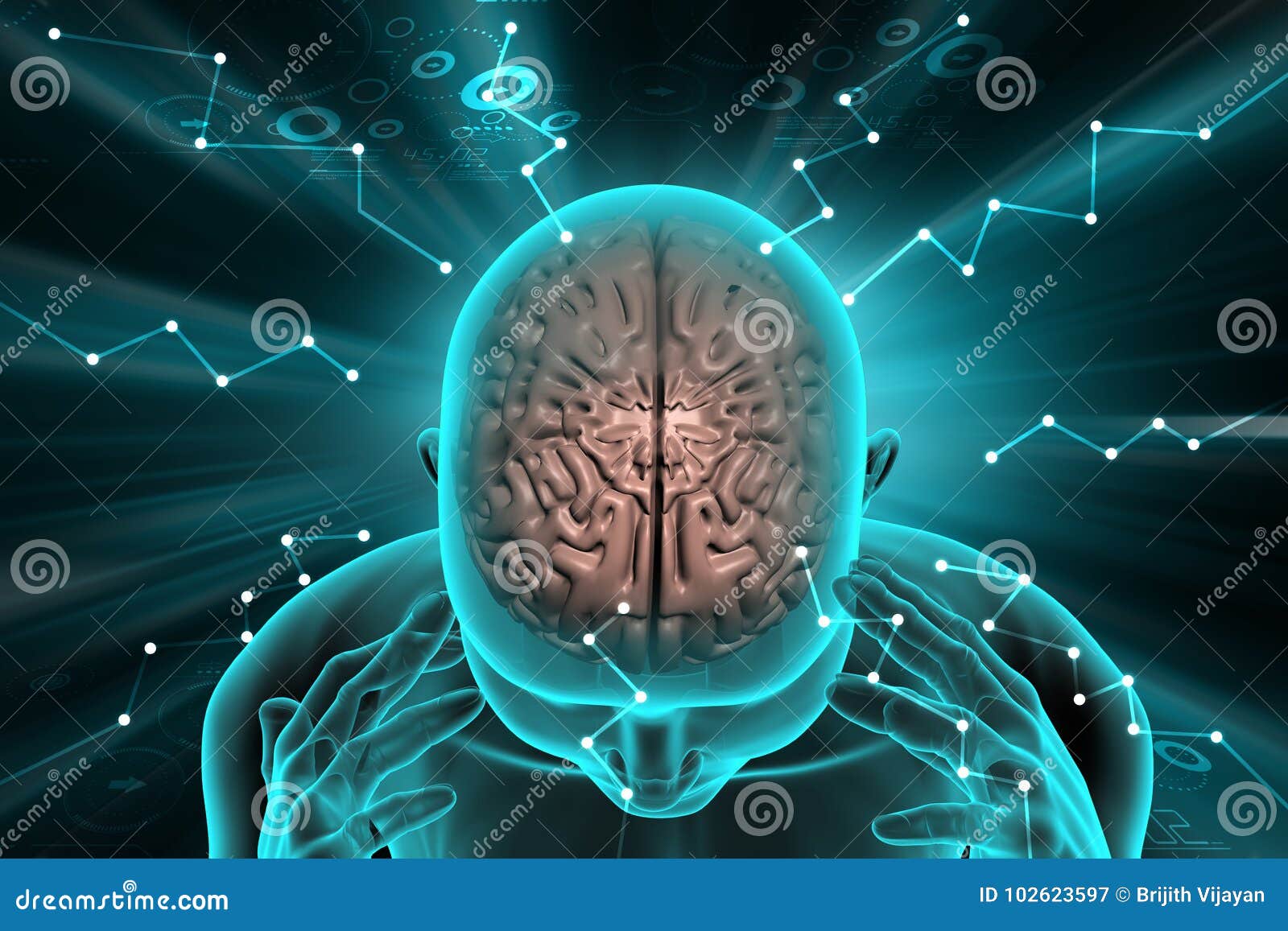 Brain Development In Children And Teens. Stimuli And Ideas. How Neurons ...