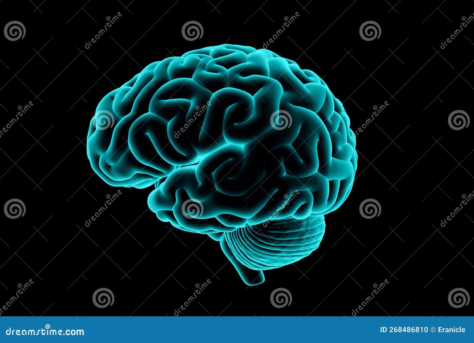 3d Illustration of Human Brain X-ray Stock Illustration - Illustration ...