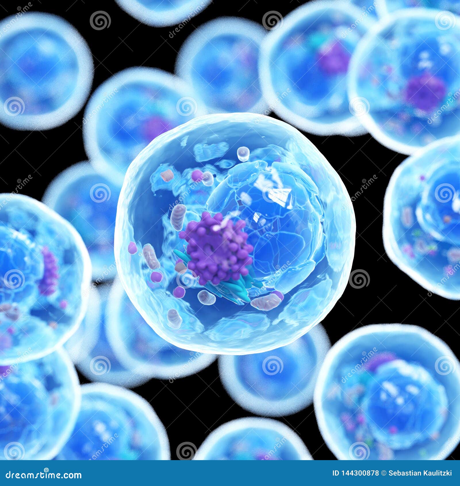 A human cell stock illustration. Illustration of cytoplasm - 144300878
