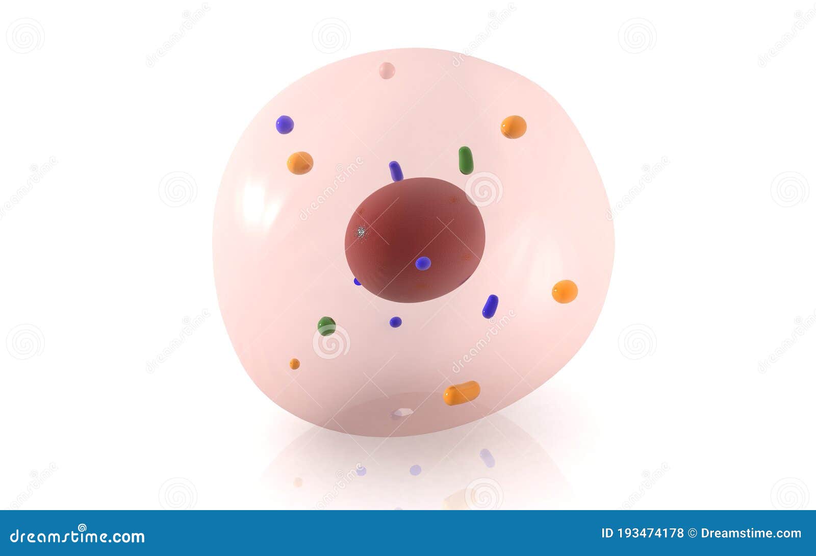 3D Illustration of Human Cell on White Stock Illustration ...