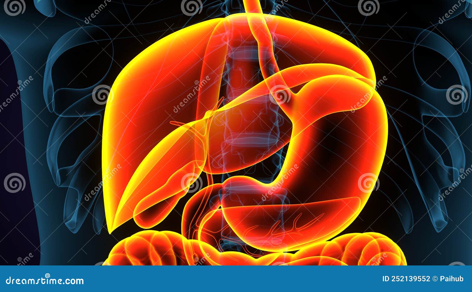 Digenative Cartoons, Illustrations & Vector Stock Images - 16 Pictures ...