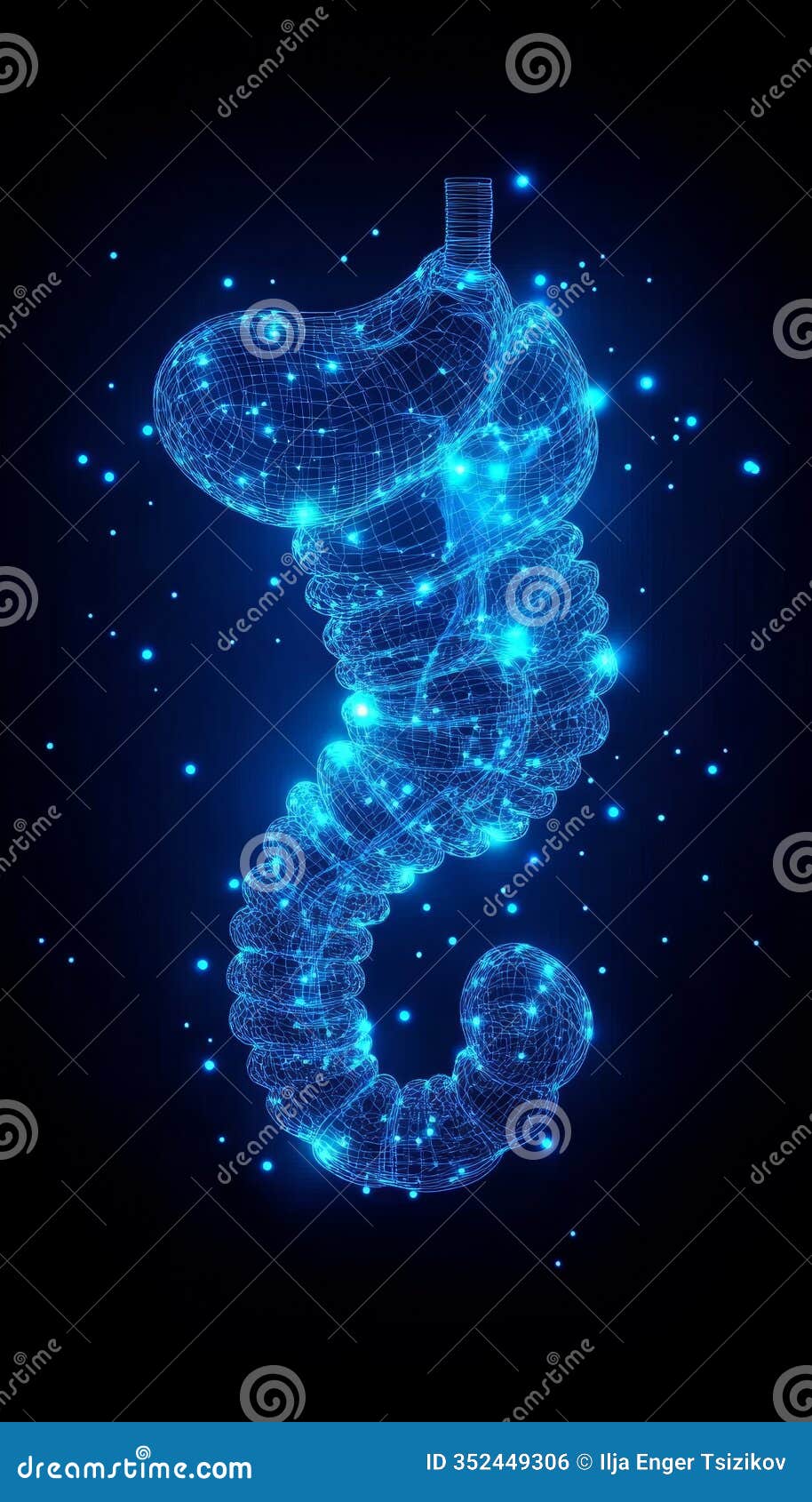 3D Illustration Of Human Digestive System Anatomy On Abstract Blue ...