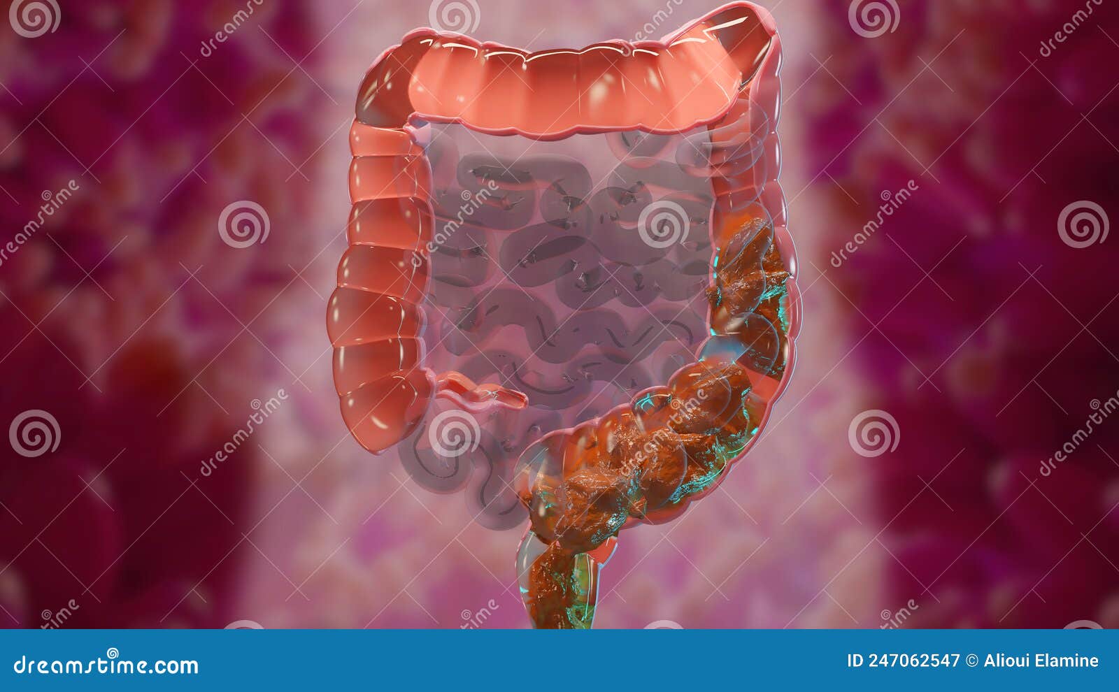 3d Illustration of Human Digestive System Anatomy, Concept of the ...