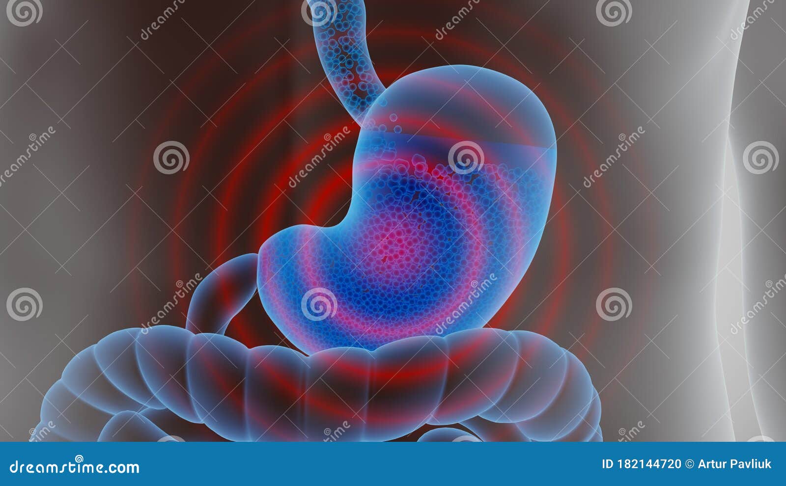 3d Render of the Human Digestive System Stock Illustration ...
