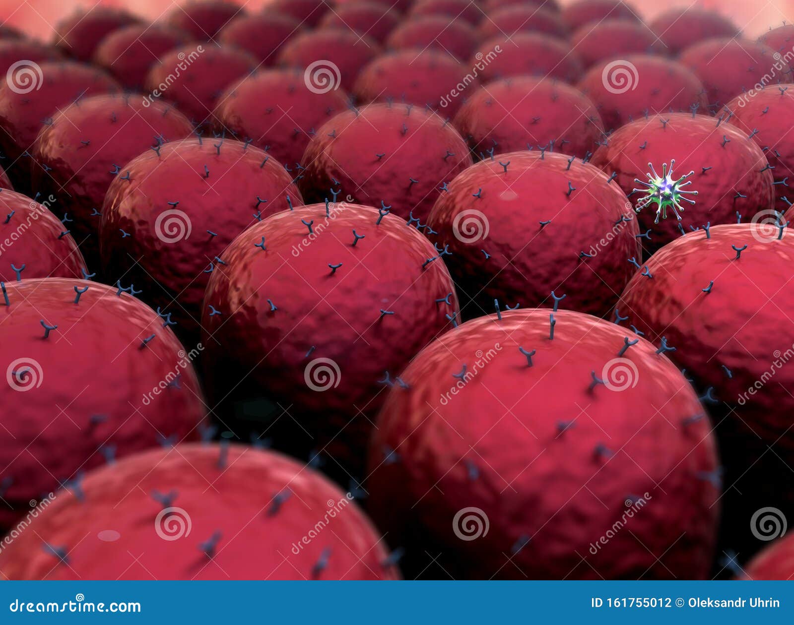 3D Illustration of Human Immune System Stock Illustration ...