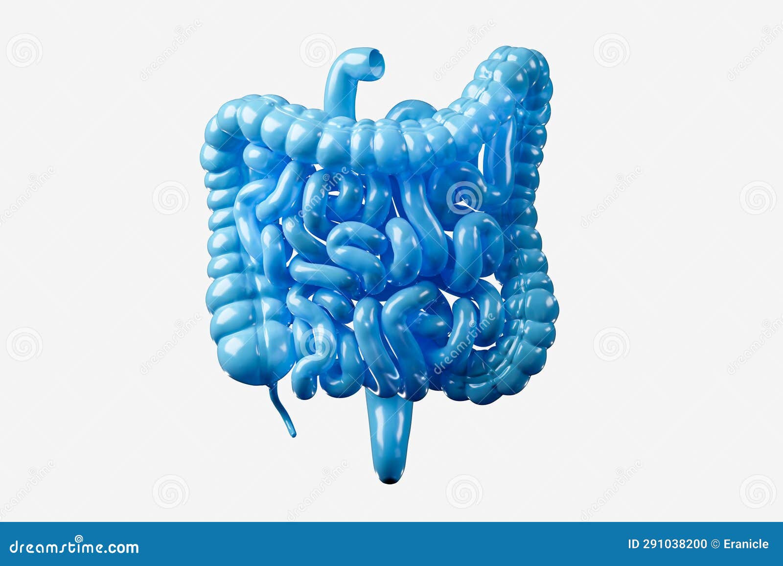 3d Illustration of Human Intestine Made of Blue Plastic Stock ...