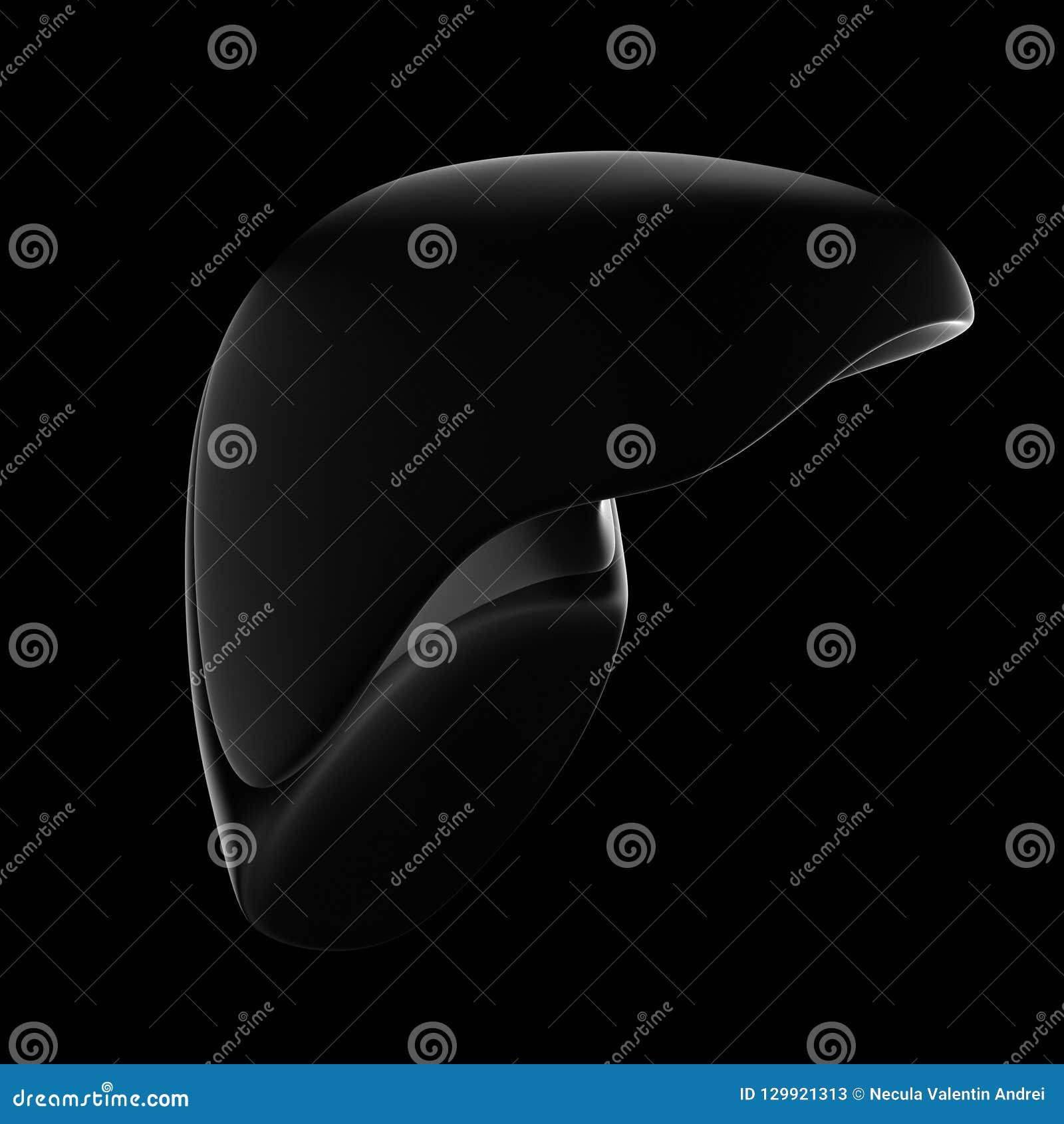 3D Illustration of Human Liver Black Background. Front View Stock ...