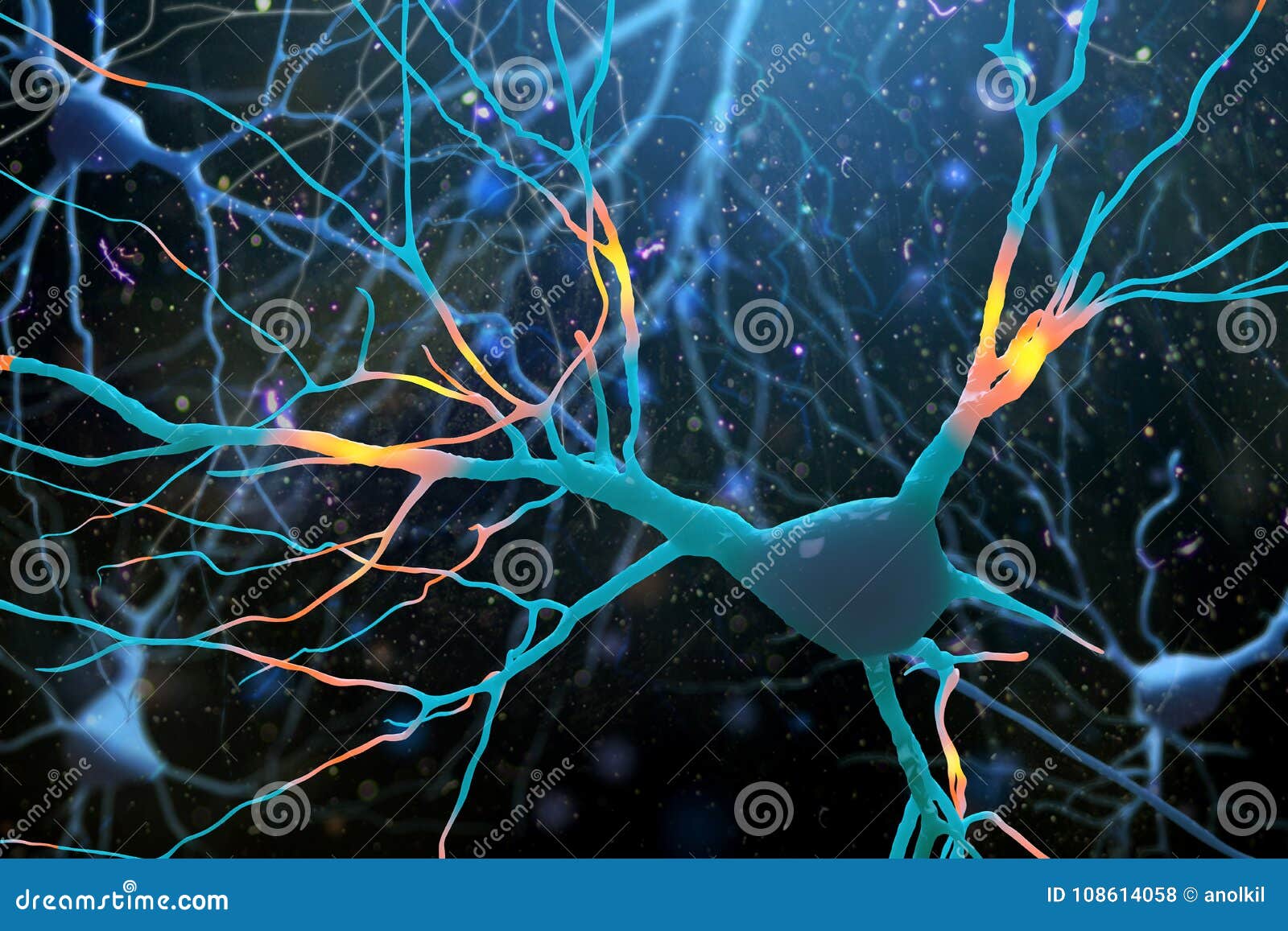 3D Illustration of Human Nerve Cells Structure. Stock Illustration ...