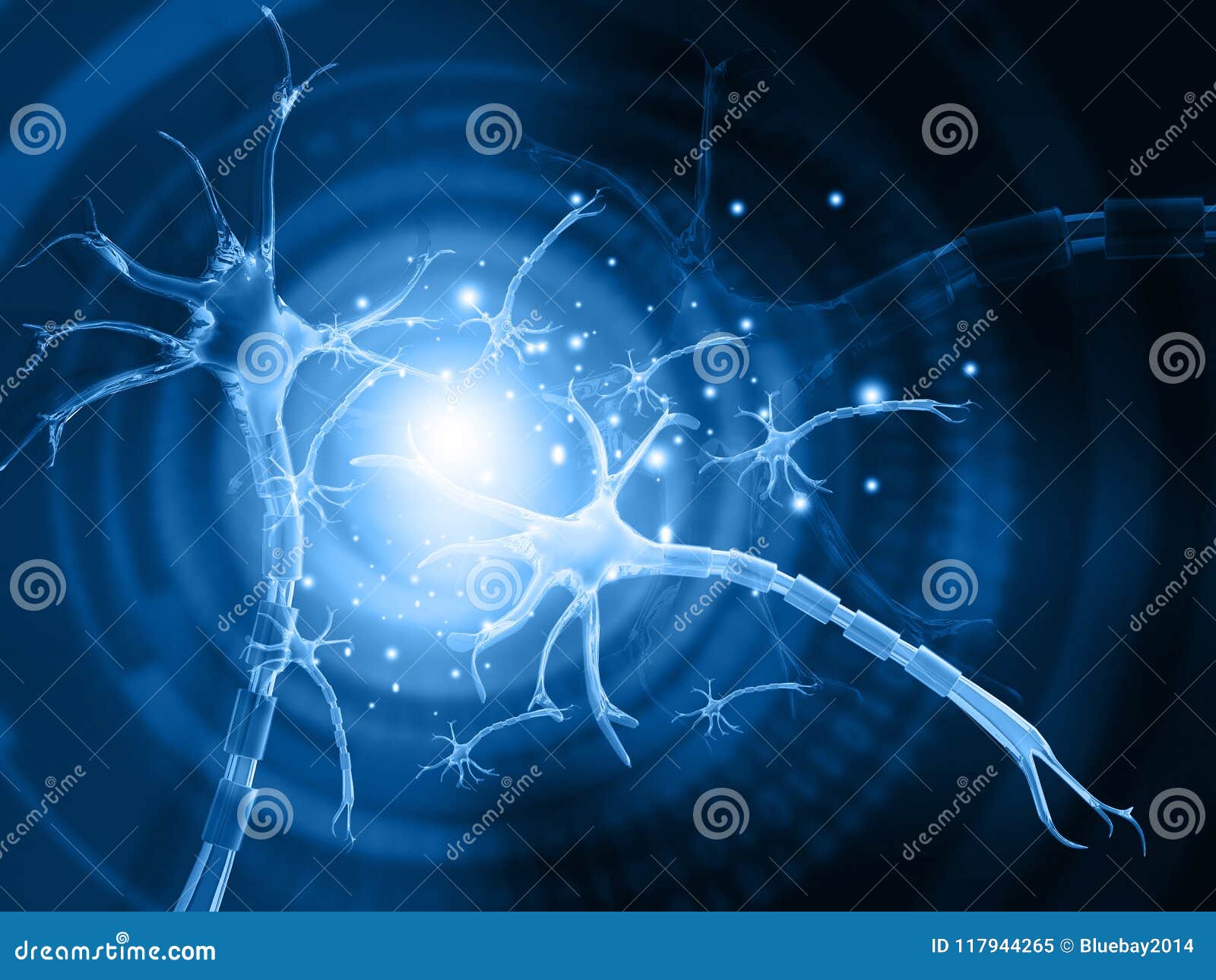 Human neuron stock illustration. Illustration of healthcare - 117944265
