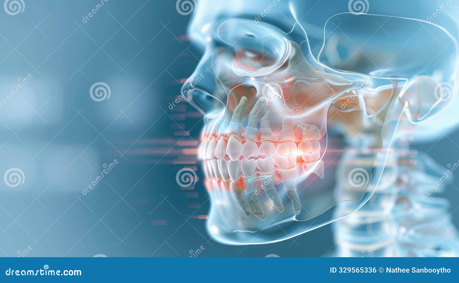 3D Illustration of Human Skull and Teeth Stock Illustration ...