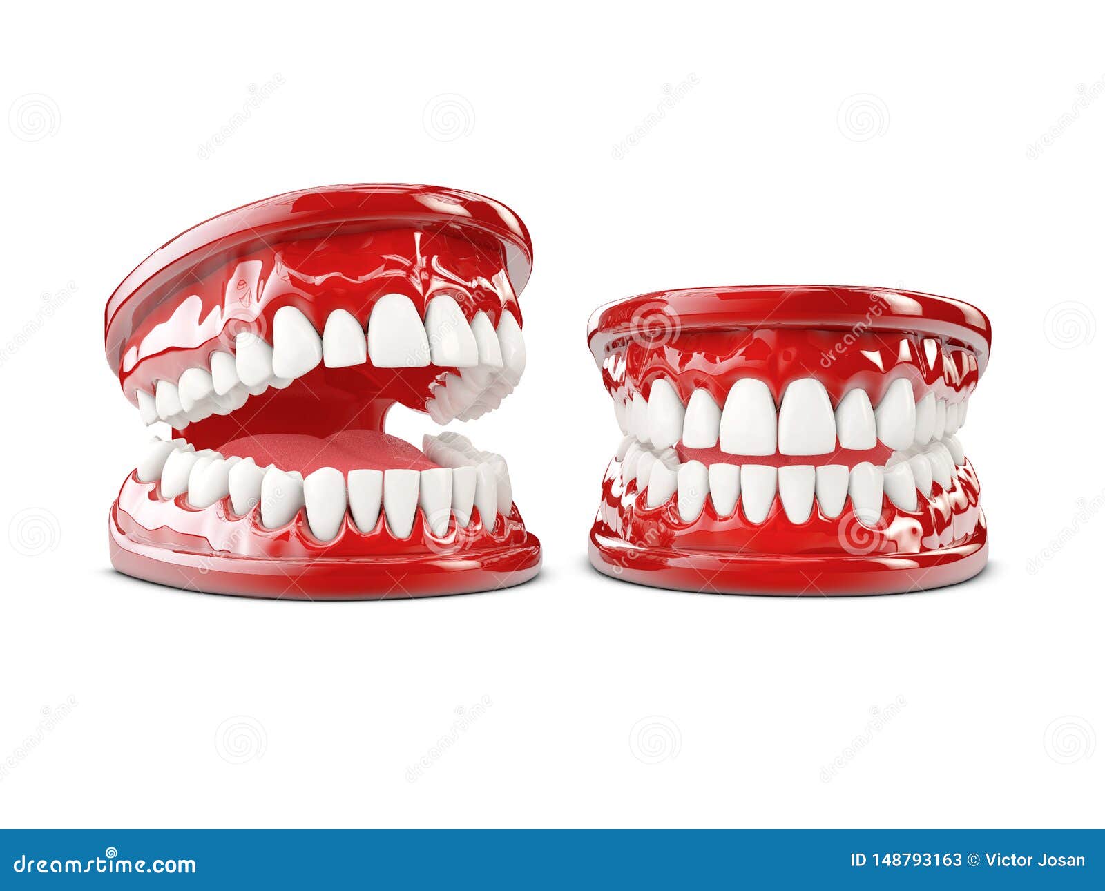 3d Illustration of Human Teeth, Open and Close Mouth on White ...