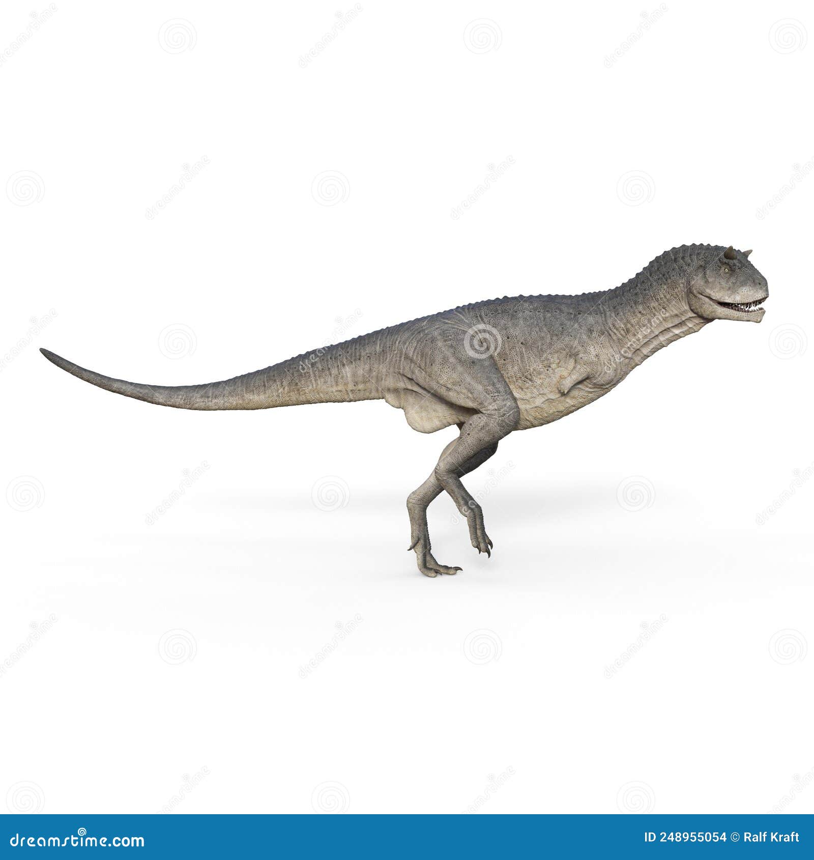 3d-illustration of an Isolated Dinosaur Carnotaurus Stock Illustration ...
