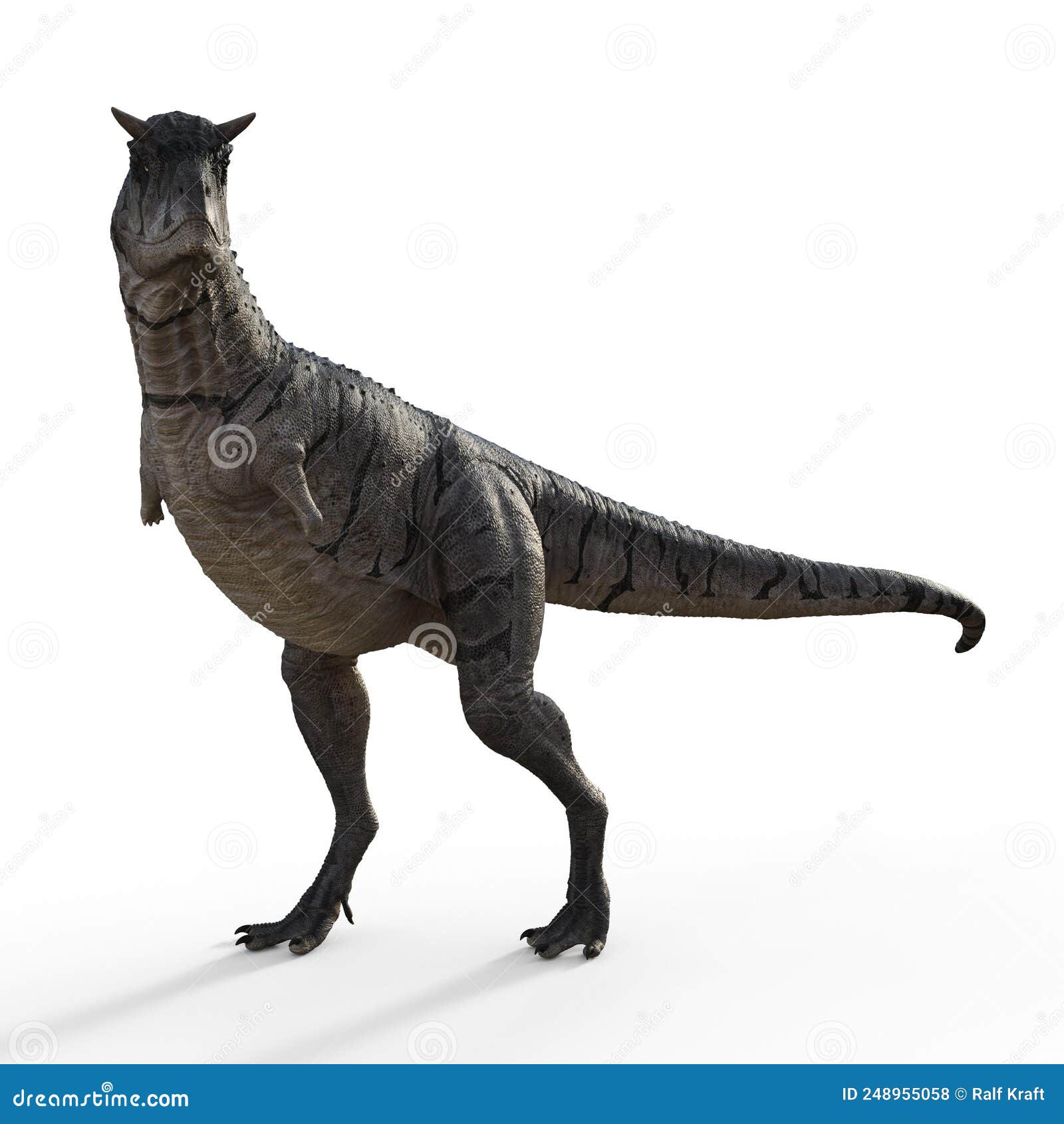 3d-illustration of an Isolated Dinosaur Carnotaurus Stock Illustration ...