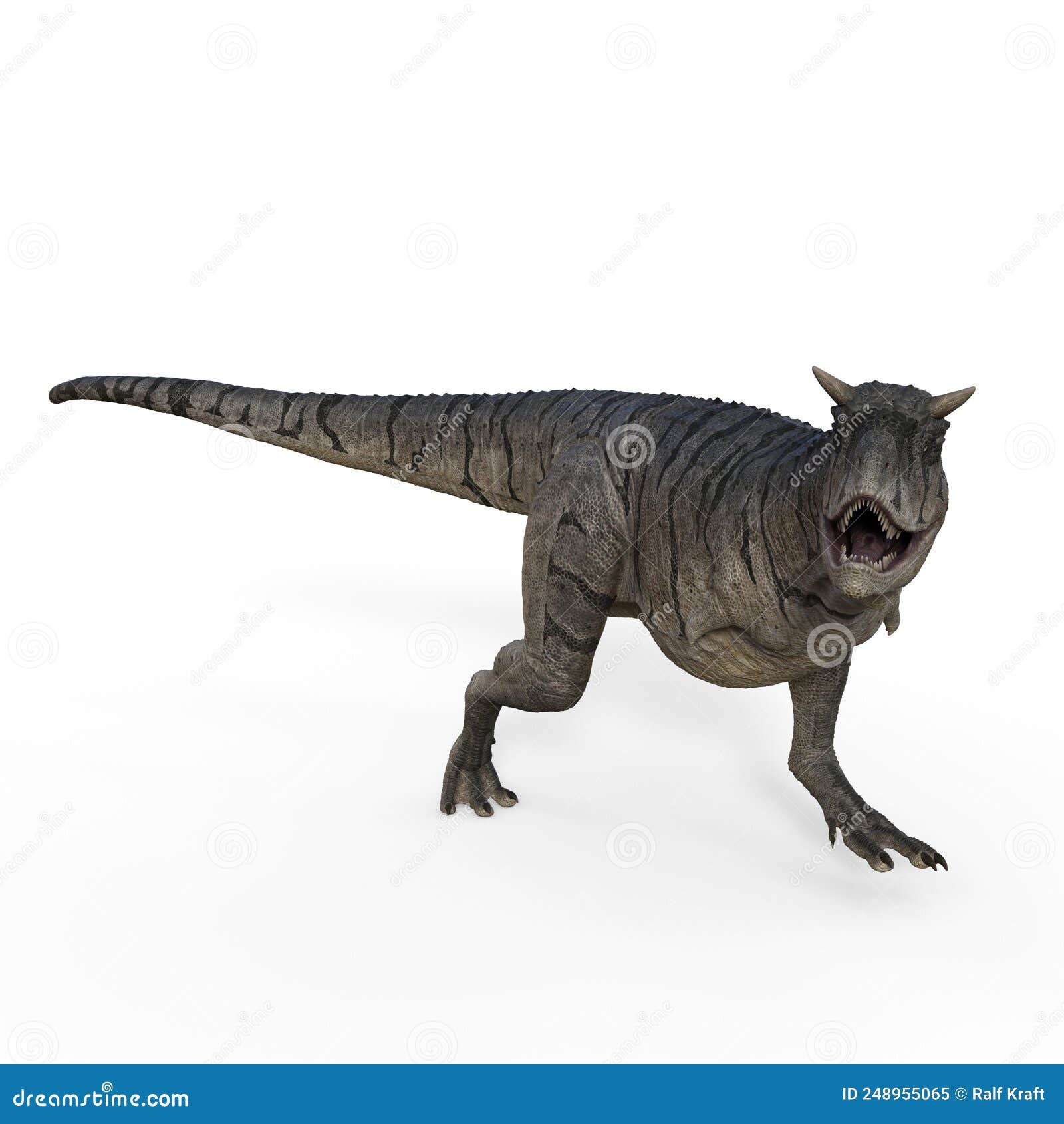 3d-illustration of an Isolated Dinosaur Carnotaurus Stock Illustration ...