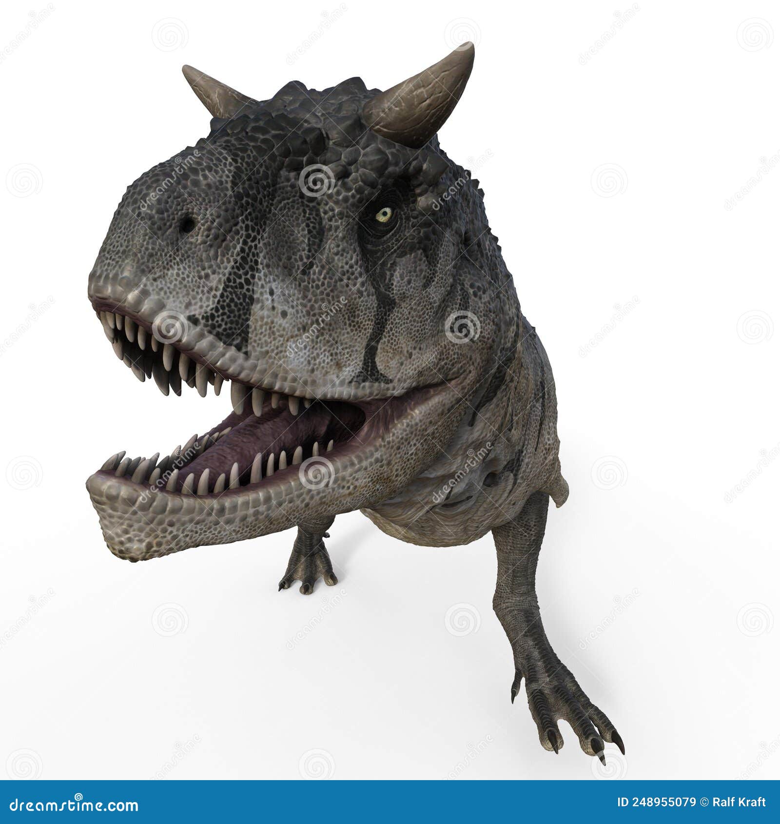3d-illustration of an Isolated Dinosaur Carnotaurus Stock Illustration ...