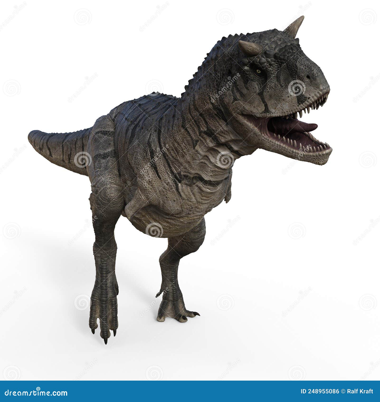 3d-illustration of an Isolated Dinosaur Carnotaurus Stock Illustration ...