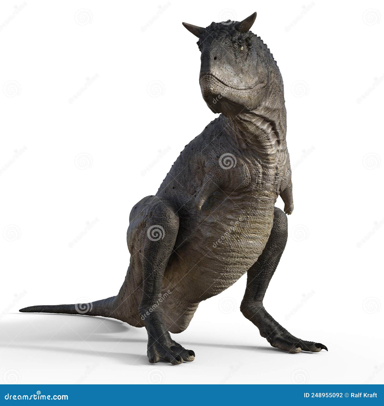 3d-illustration of an Isolated Dinosaur Carnotaurus Stock Illustration ...
