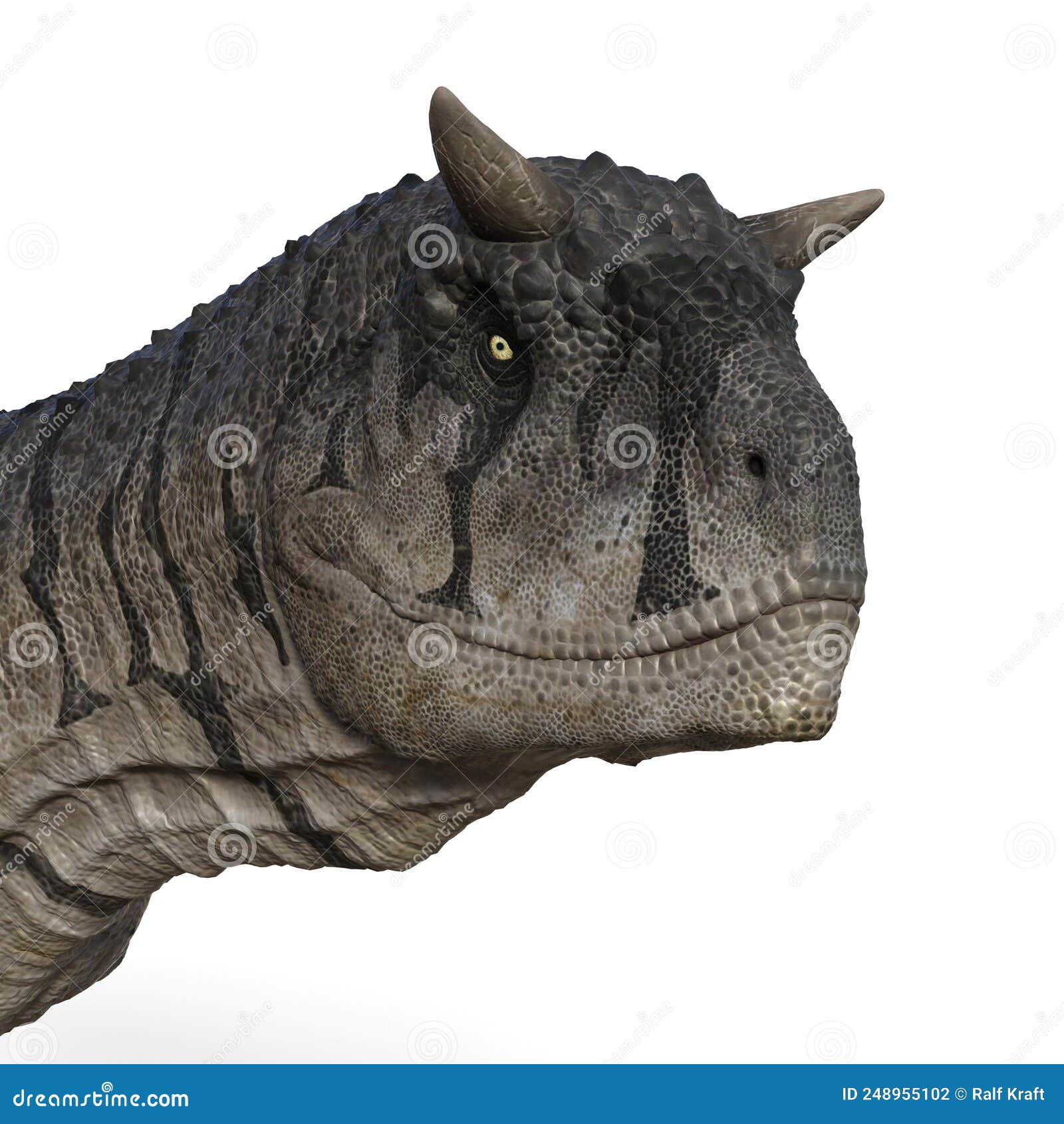3d-illustration of an Isolated Dinosaur Carnotaurus Stock Illustration ...