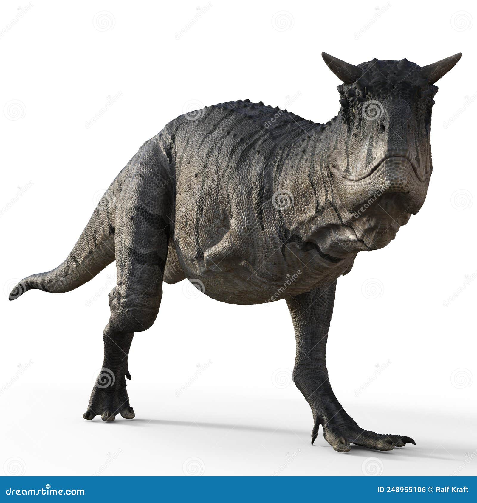 3d-illustration of an Isolated Dinosaur Carnotaurus Stock Illustration ...
