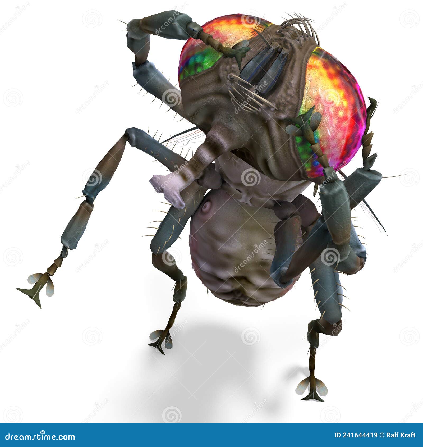 3d-illustration of an Isolated Huge Fly Stock Illustration ...