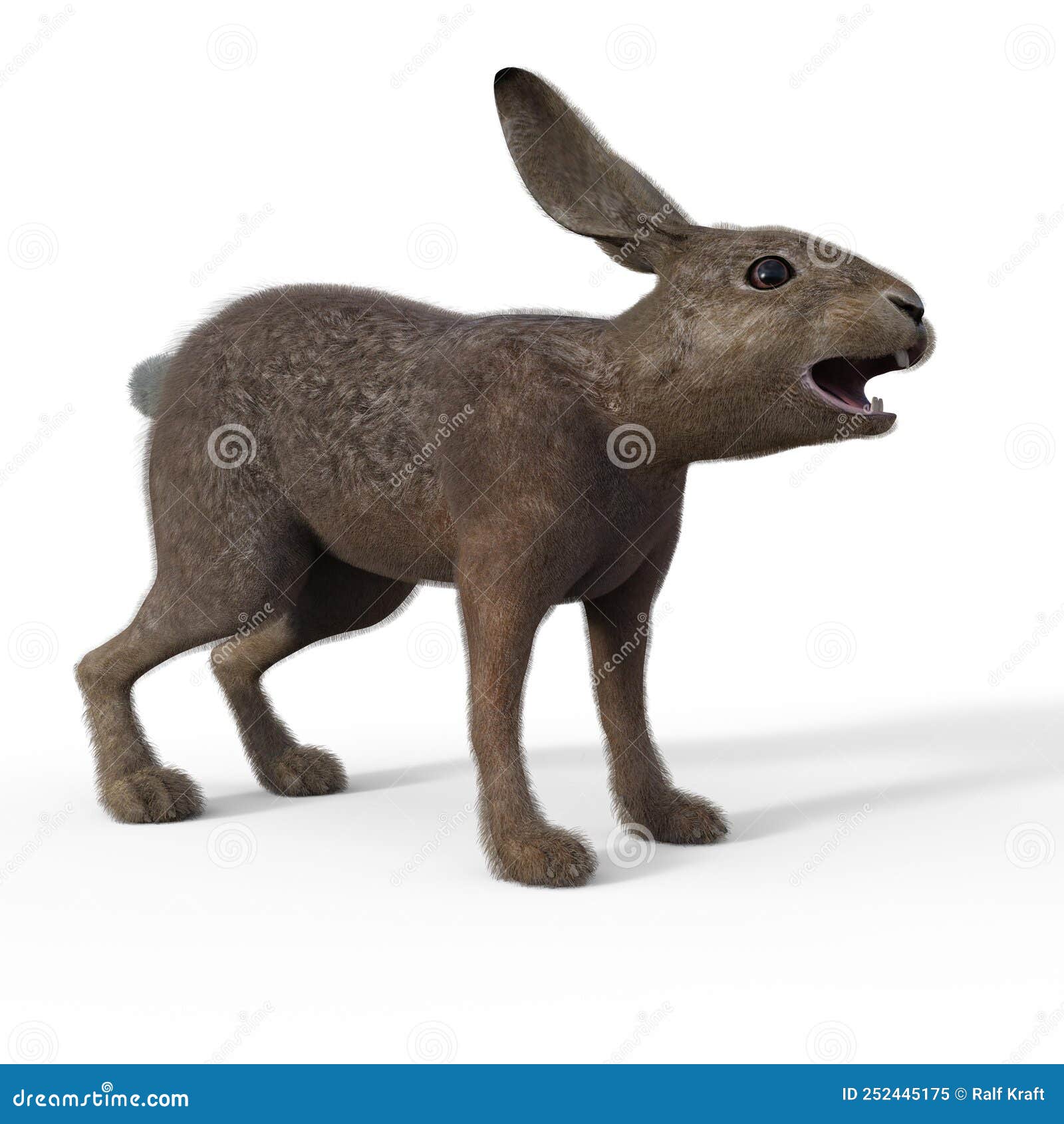 3d-illustration of an Isolated Talking Rabbit Animal Pet Stock ...