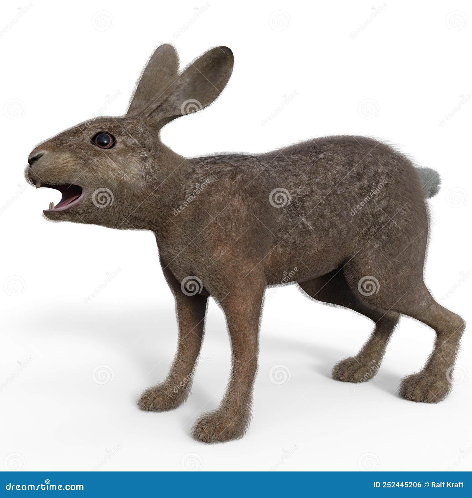 3d-illustration of an Isolated Talking Rabbit Animal Pet Stock ...