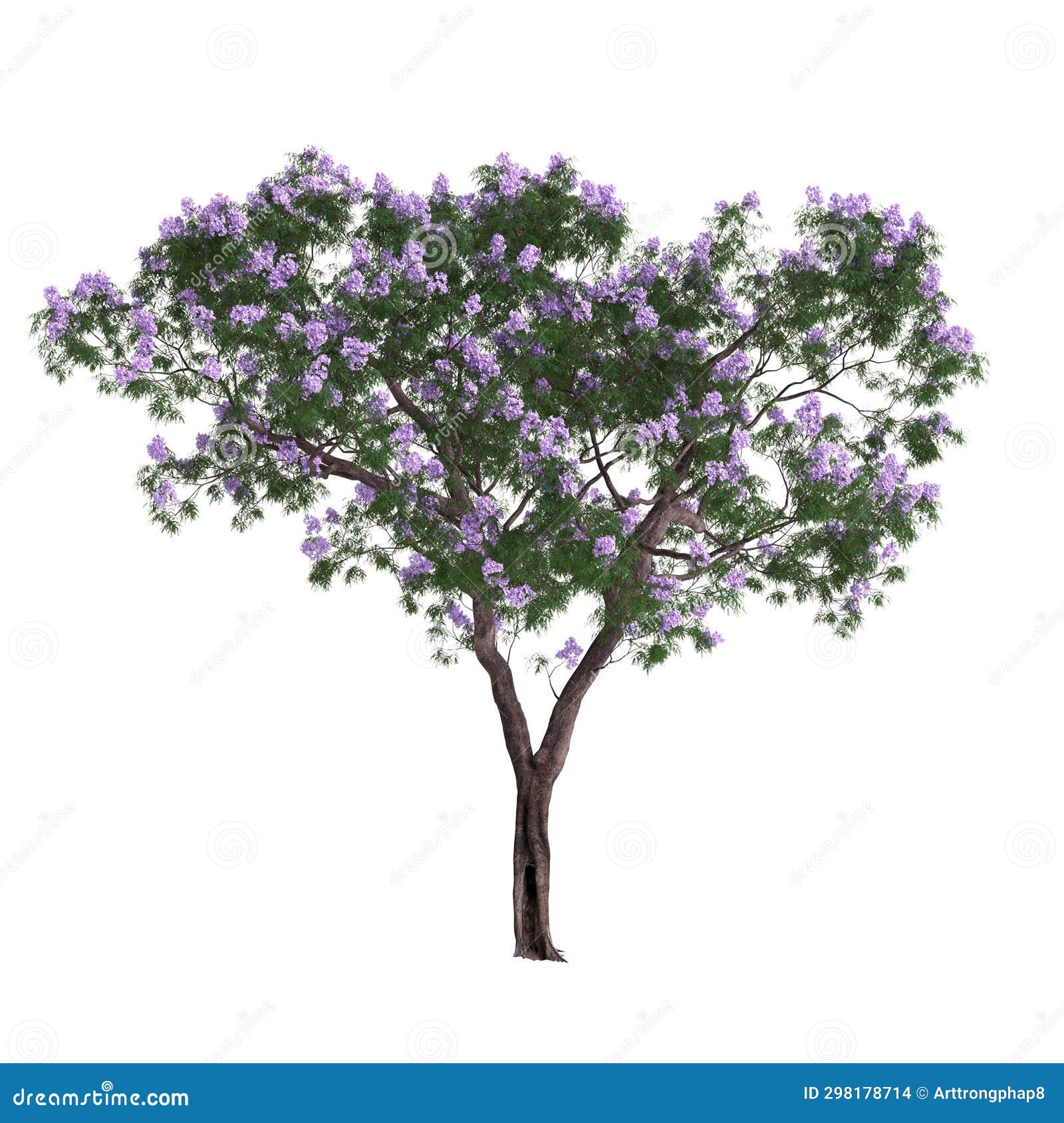 Tree, Jacaranda Nolan Icon. Simple Thin Line, Outline Vector Of ...